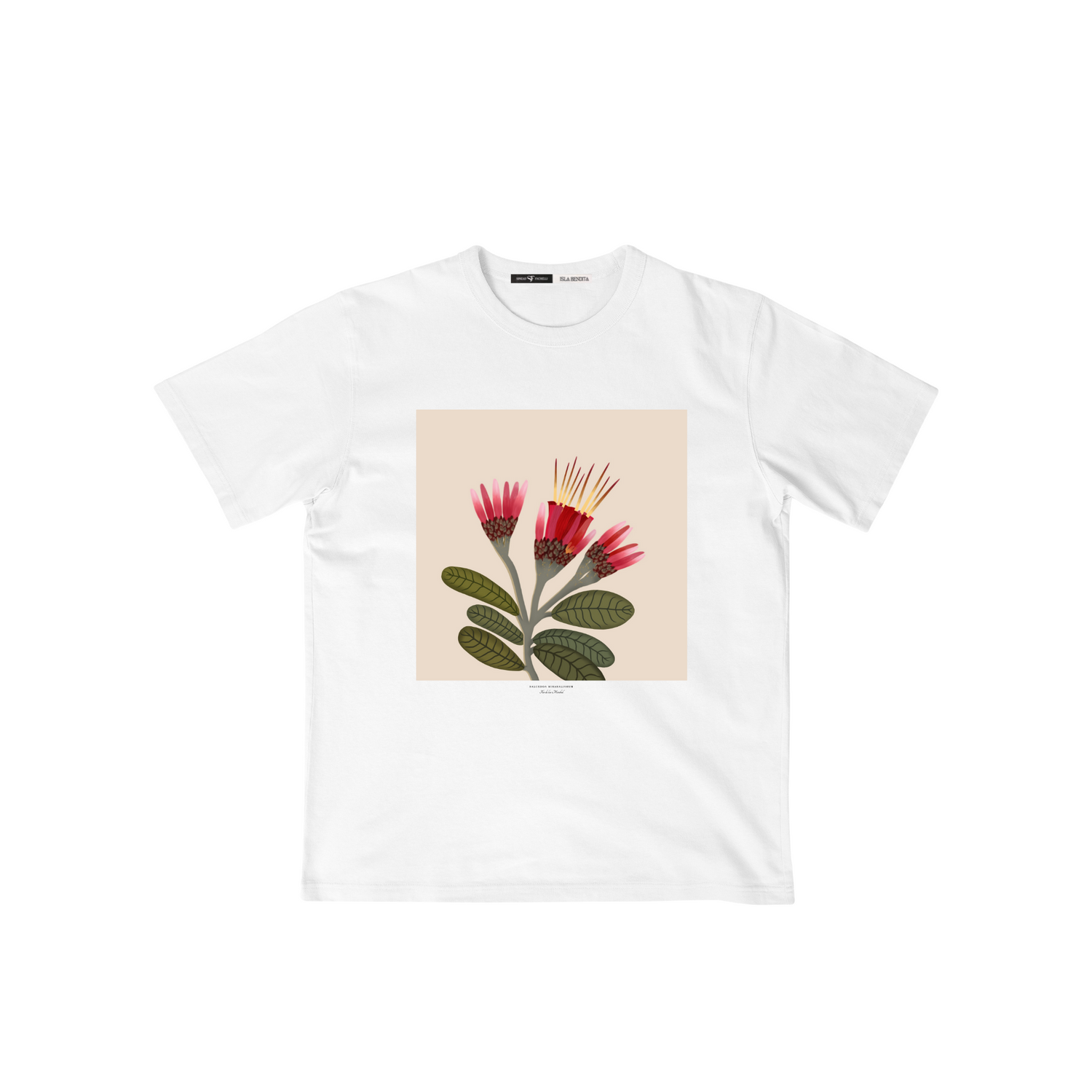 FLOR DE LAS MIRABAL – ISLA BENDITA